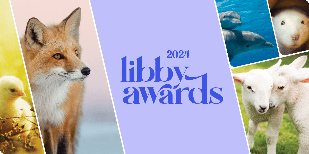 WINNERS: peta2’s 2024 Libby Awards! | peta2